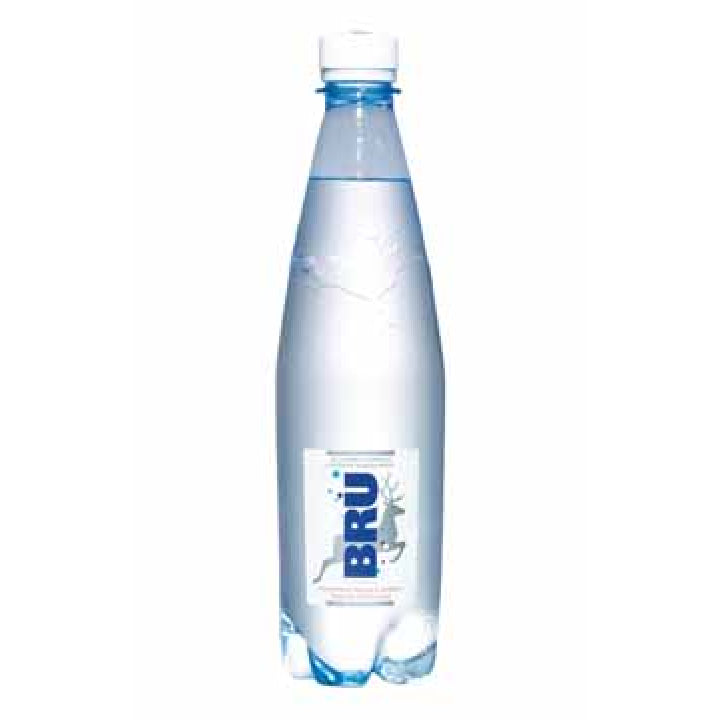 Bru water 50cl - Drinks - Sandwich Lunch Delivery Zaventem Diegem ...